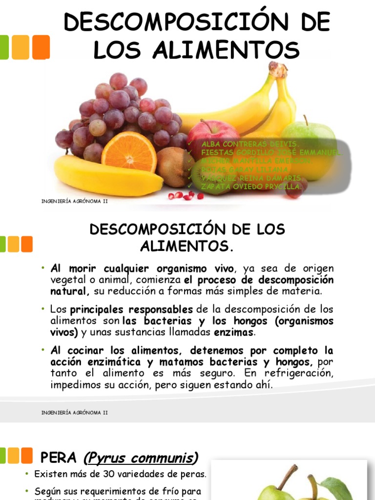 Descomposición de Los Alimentos | PDF | Pera | Alimentos