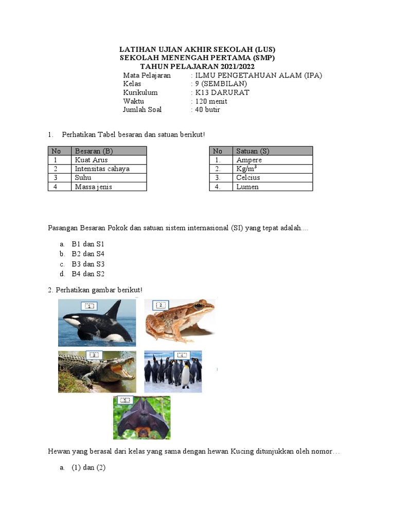 Soal Lus IPA 2022-Final | PDF | Kajian Bahasa Asing | Sains & Matematika