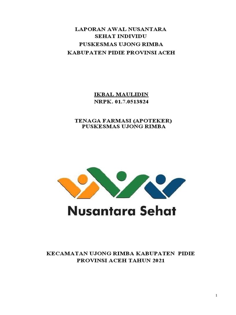 Laporan Awal Nsi | PDF