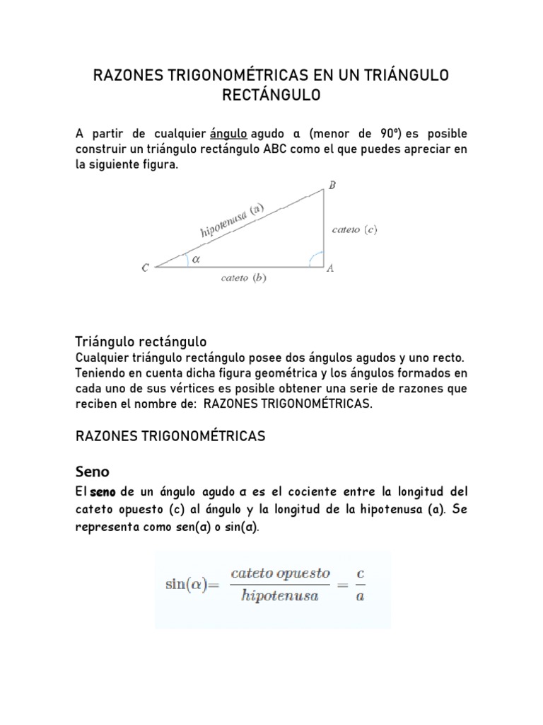 Razones Trigonometricas de Un Triangulo Rectangulo | PDF | Funciones trigonométricas | Triángulo
