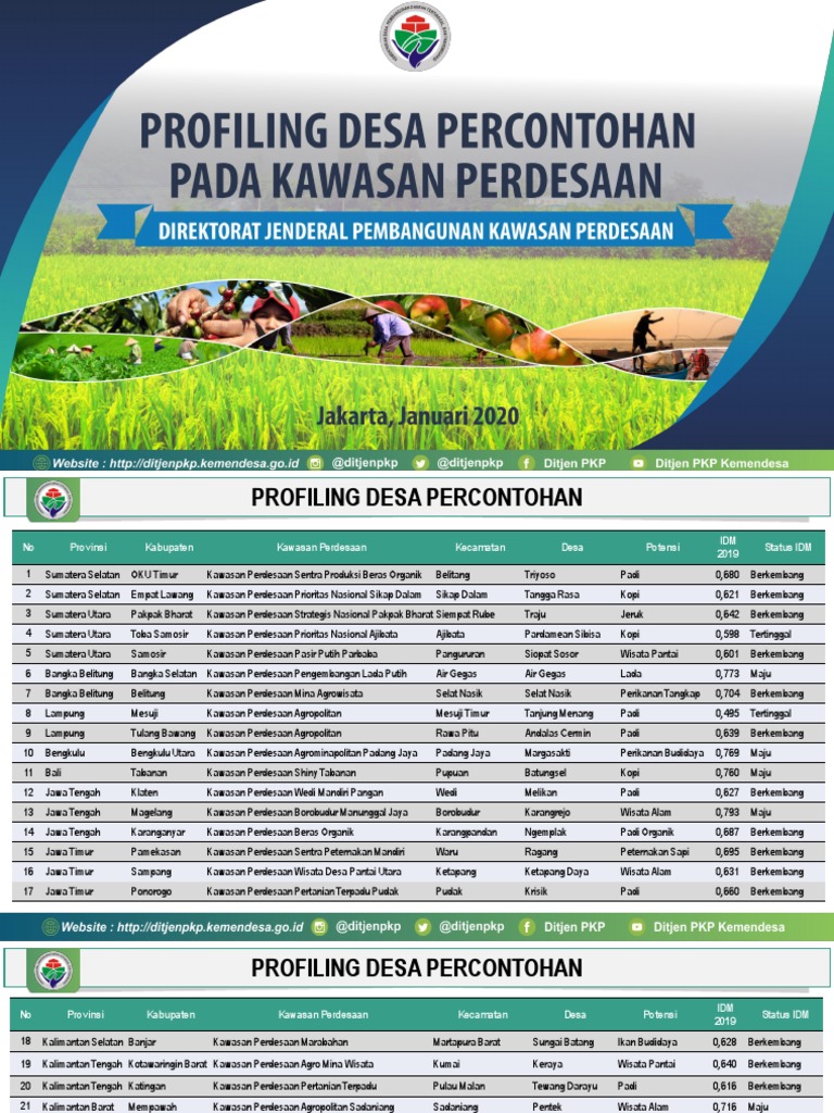 PROFIL KAWASAN PERDESAAN DAN DESA DI INDONESIA | PDF