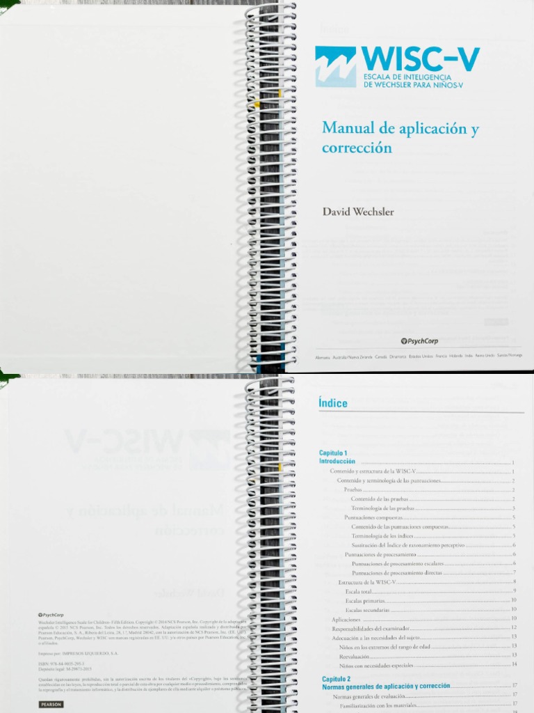 1 WISC-V-Manual de Aplicacion y Correccion-Comprimido | PDF
