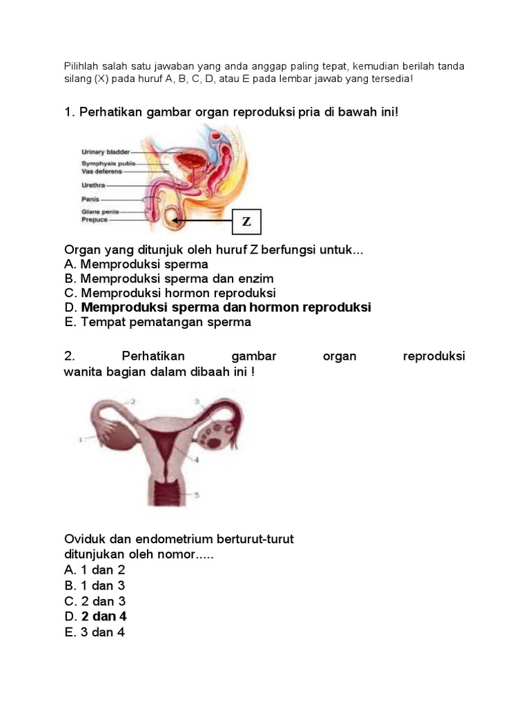 Soal Sistem Rep Manusia | PDF