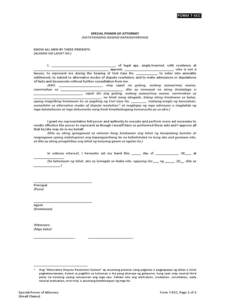 Form 07 SCC Spa | PDF