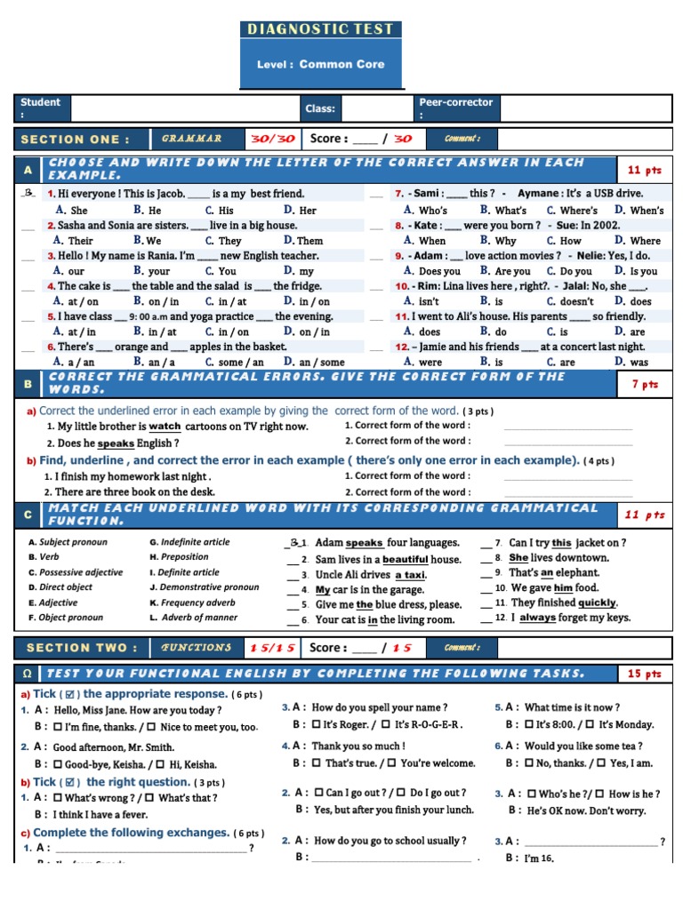 Common Core Diagnostic Test - 2019-20-1-2 | PDF | Word | Cognitive Science