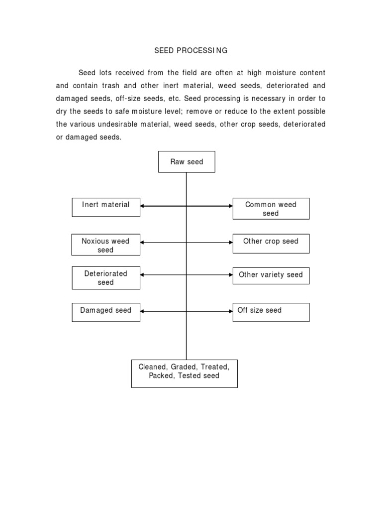 26 Seed Processing | PDF | Seed | Shed