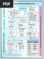 Alur Resusitasi Neonatus IDAI 2022 60x160 | PDF