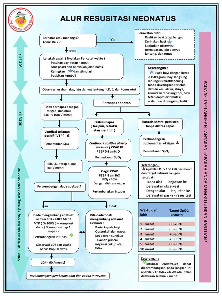 Alur Resusitasi Neonatus 2024 | PDF