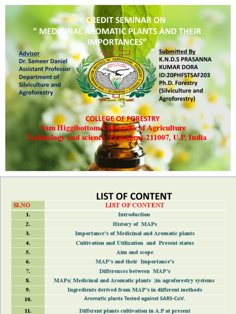 Aromatic Plant | PDF | Plants | Essential Oil