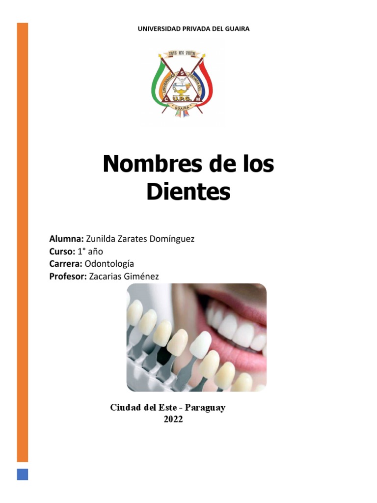 Caras de Dientes | PDF | Odontología | Ramas de Odontología