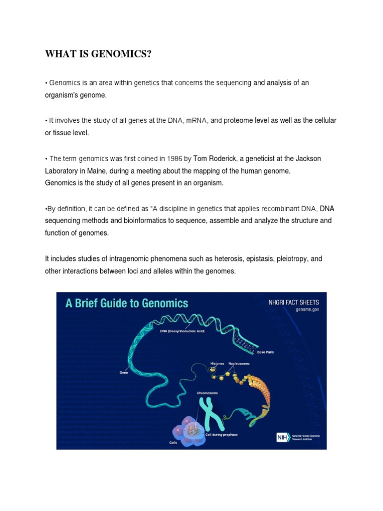 What Is Genomics? | PDF | Genomics | Gene