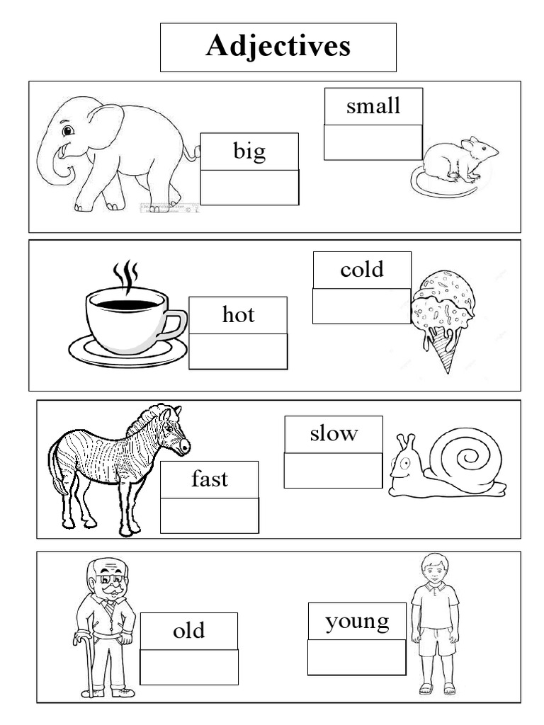 Adjectives Worksheet | PDF
