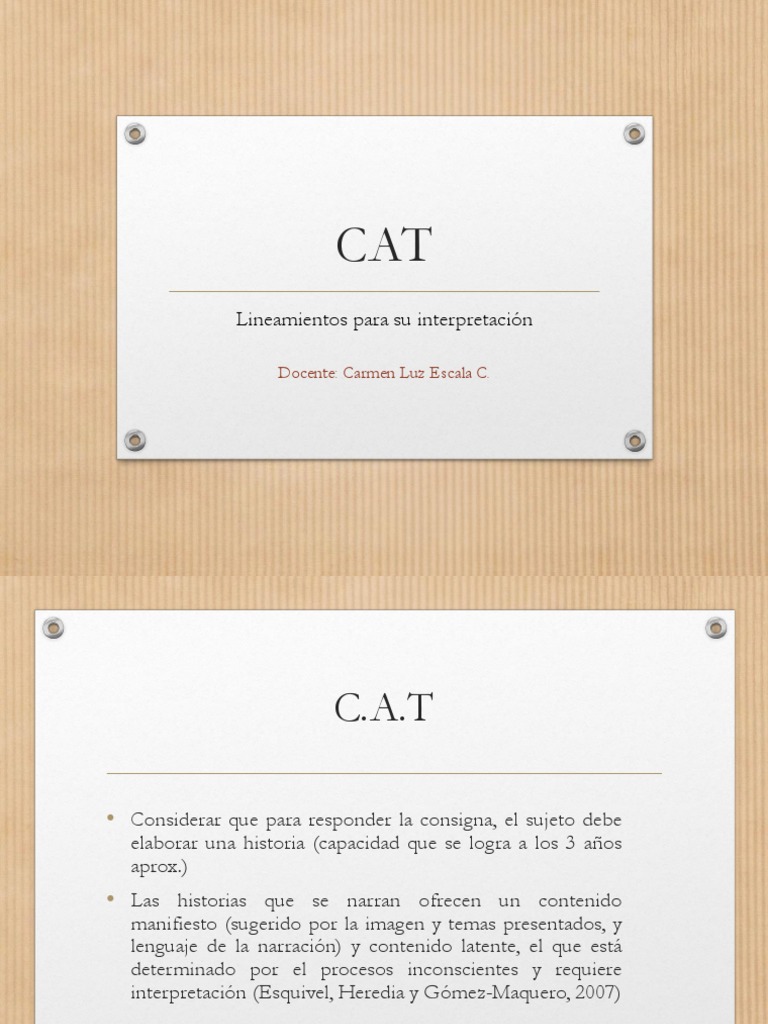 11 Test CAT Segunda Parte | PDF | Las emociones | Carné de identidad