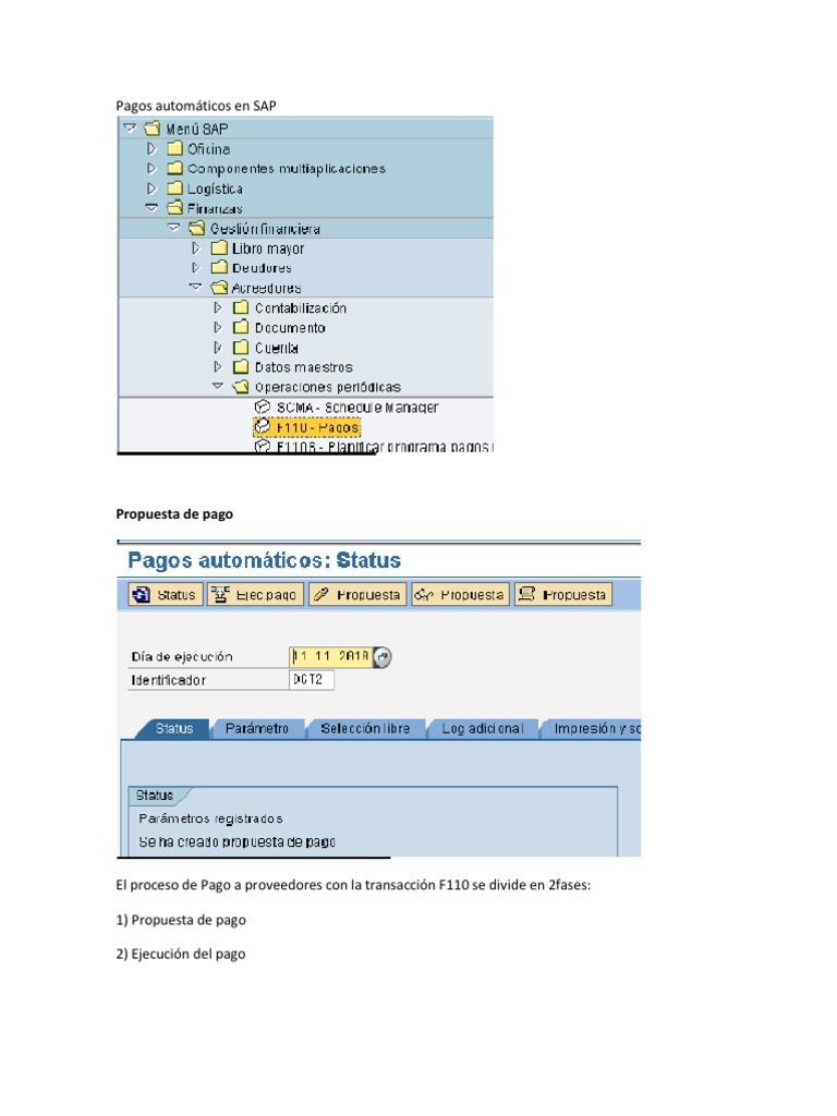 F110 - Pagos Automáticos en SAP | PDF