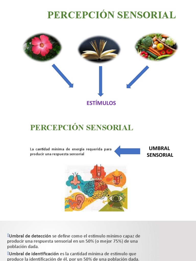 Umbrales y Percepción Sensorial | PDF | Gusto | Percepción