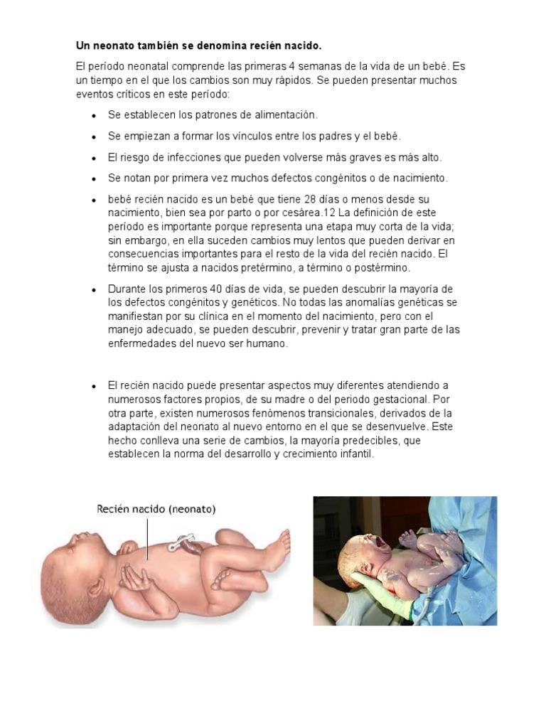 Un Neonato También Se Denomina Recién Nacido | PDF | Infantes | Cuidado ...