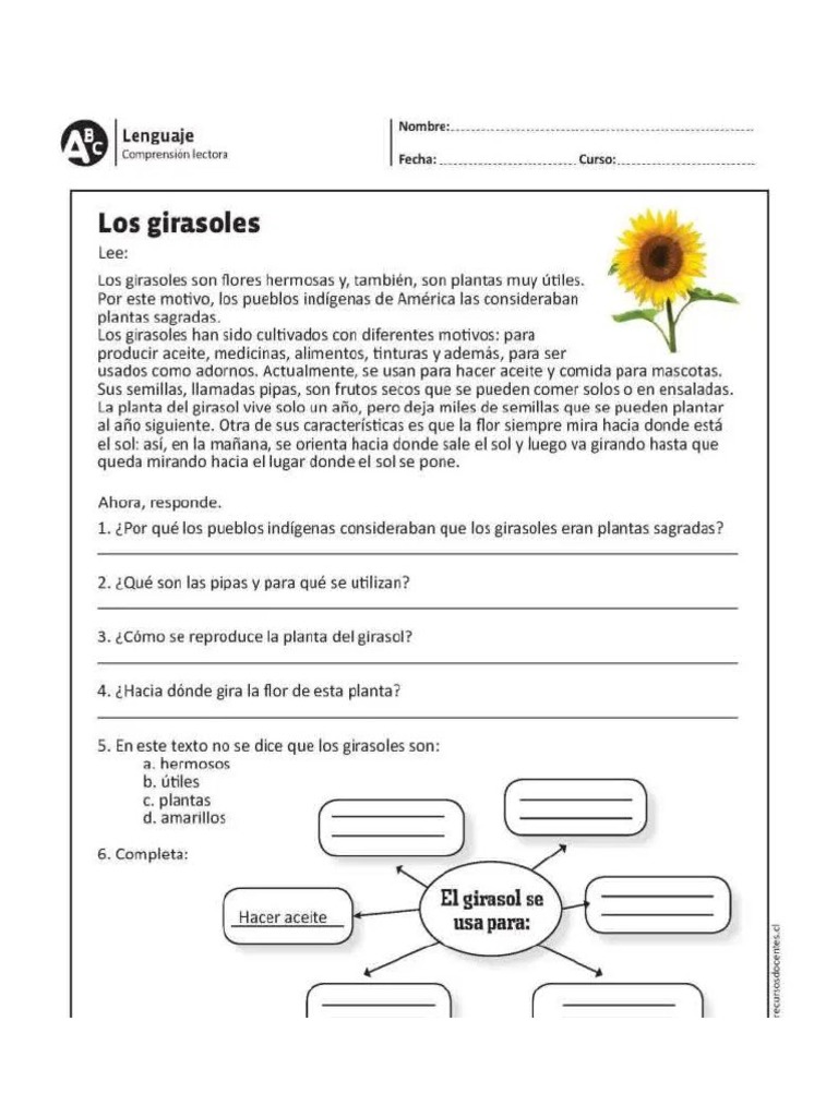 Act Comprension Los Girasoles | PDF