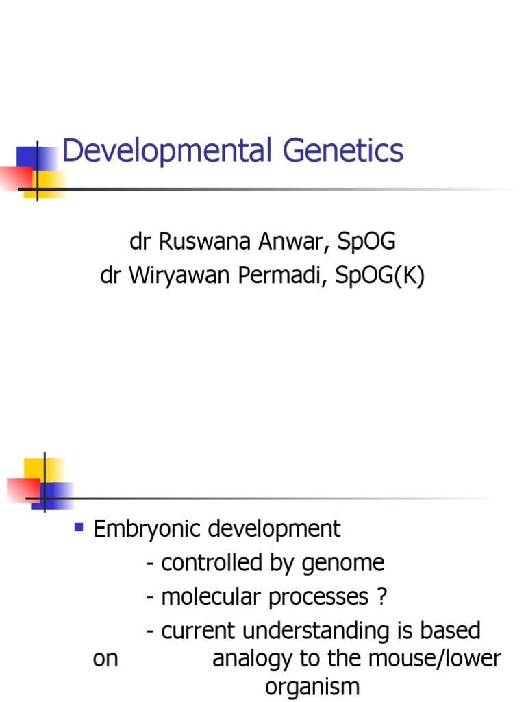 Developmental Genetics | PDF | Sex Organ | Medical Specialties