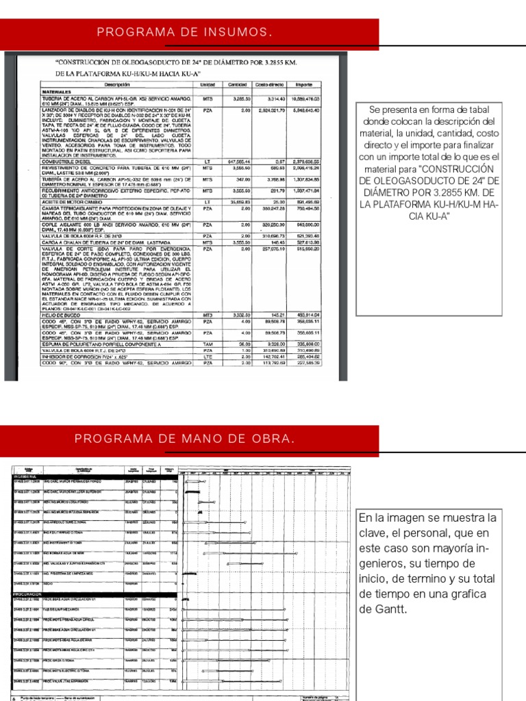 Programa de Insumos, Mano de Obra, Equipo y Maquinaria y Economicos. | PDF