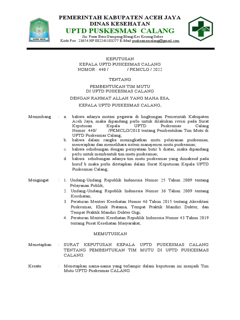 Contoh - 3.1.1.1 SK Struktur Tim Mutu Puskesmas Calang Juni 2022 | PDF