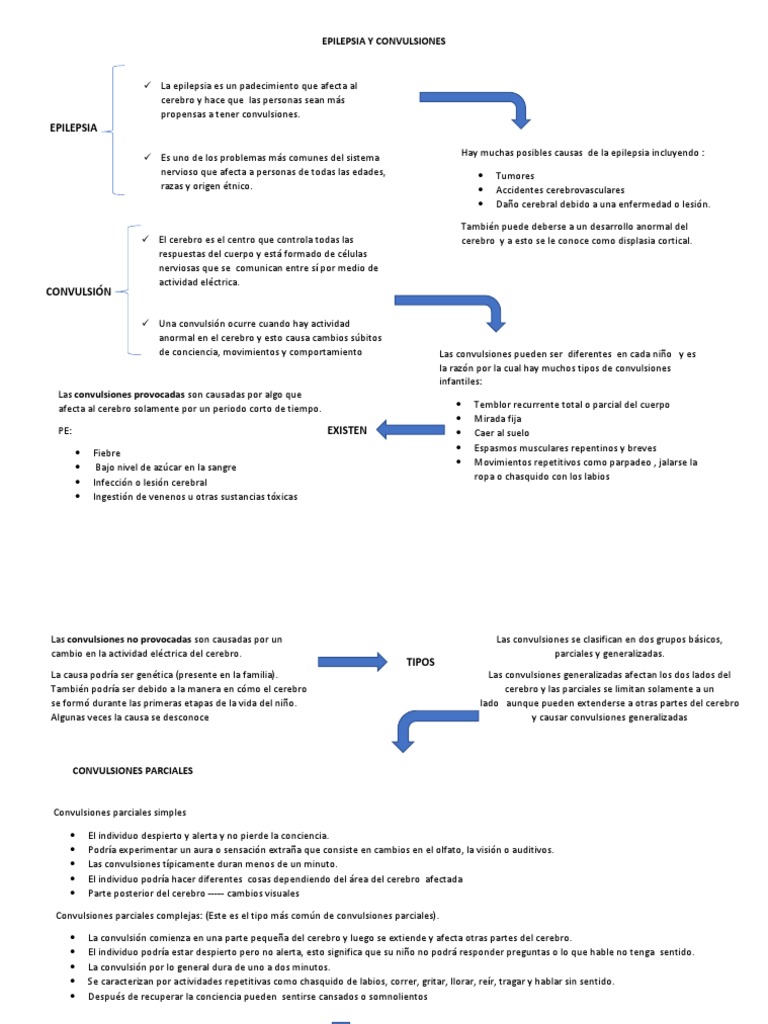 Diagrama Epilepsia y Convulsiones | PDF | Epilepsia | Cerebro
