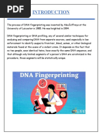 DNA Fingerprinting Class 12th Investigatory Project | PDF | Dna ...
