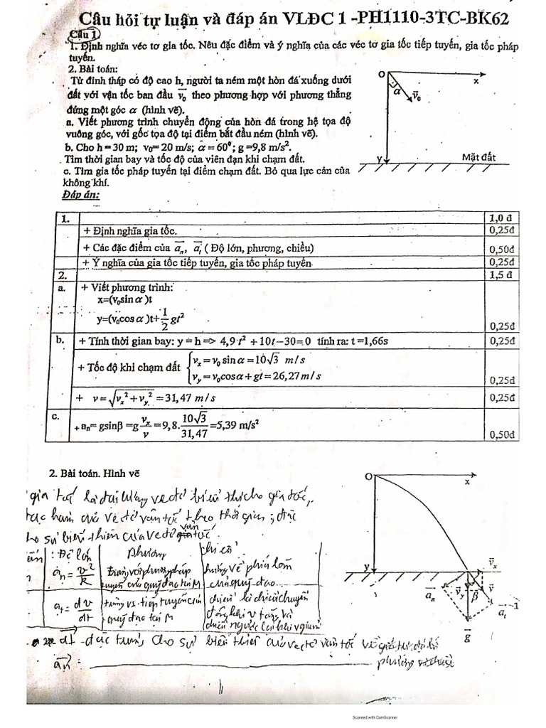 Cau Hoi Tu Luan VLDC 1 | PDF
