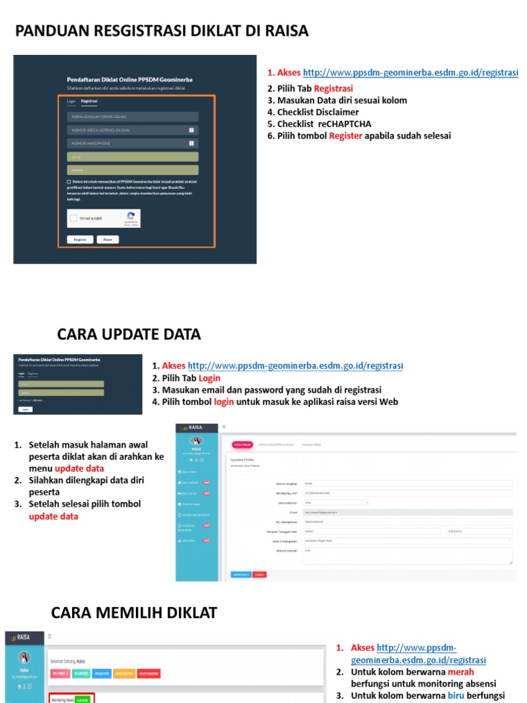 Panduan Regsitrasi RAISA | PDF