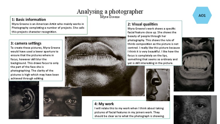Analysing A Photographer - Myra Greene - Joiners | PDF