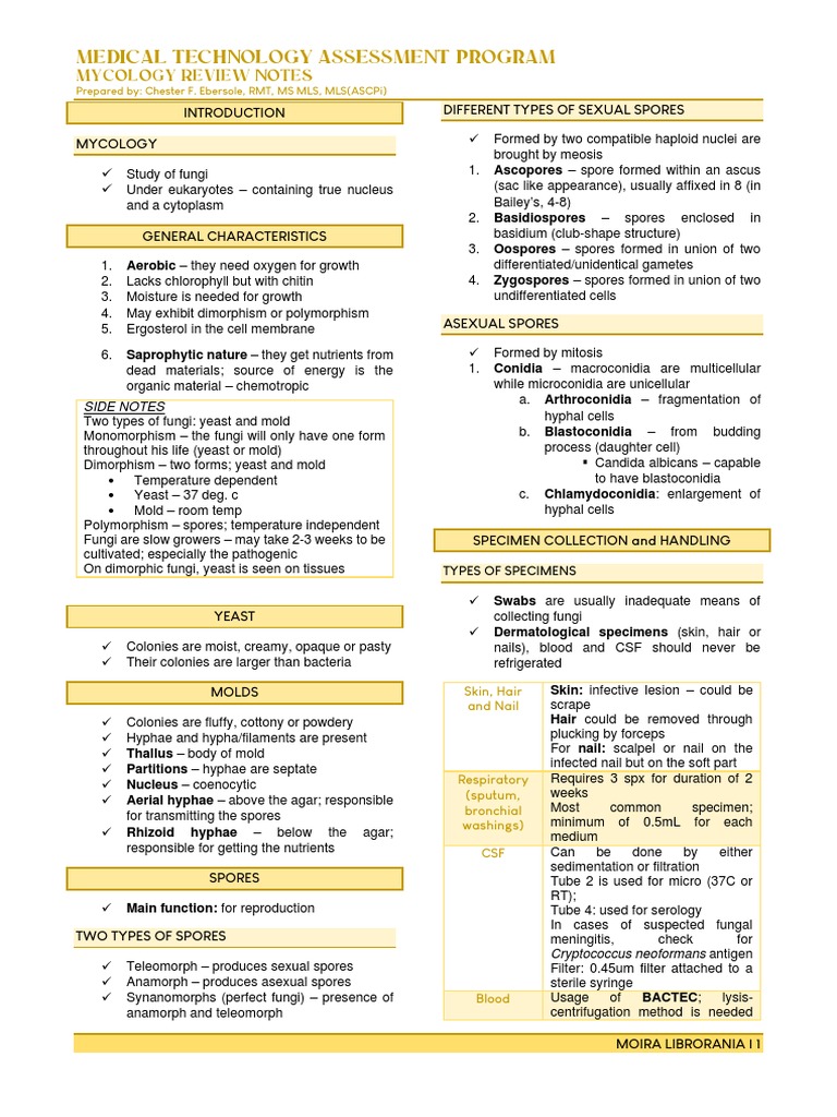 Medical Technology Assessment Program: Mycology Review Notes | PDF ...