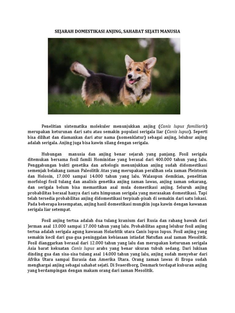 Sejarah Domestikasi Anjing | PDF