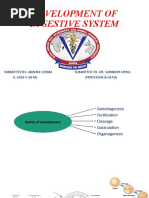 Development of Gastrointestinal System | PDF | Gastrointestinal Tract ...