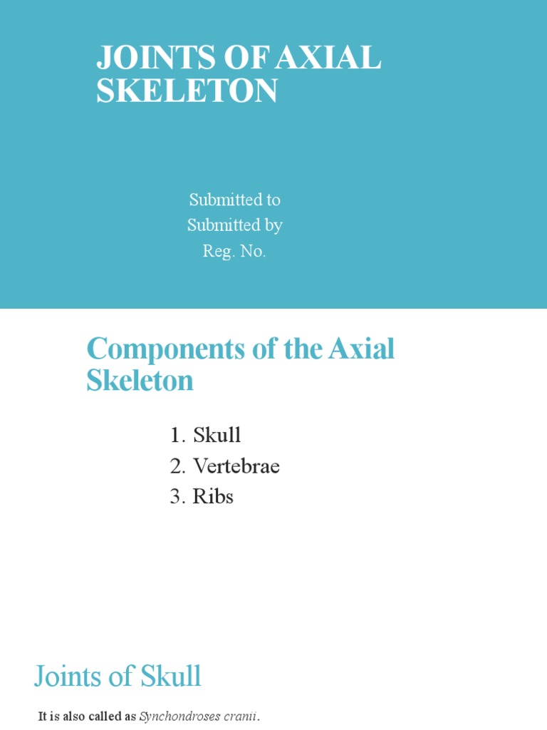Joints of the Axial Skeleton Explained | PDF | Vertebra | Vertebral Column