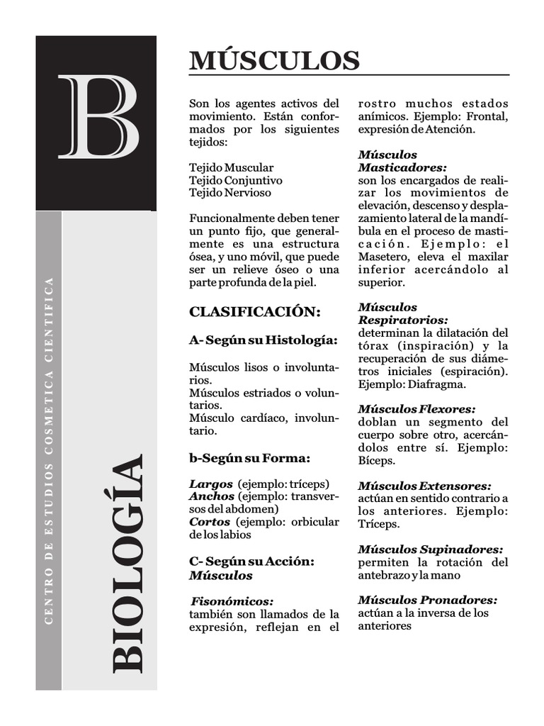 Musculos Cutaneos | PDF | Anatomía | Cabeza y cuello humanos