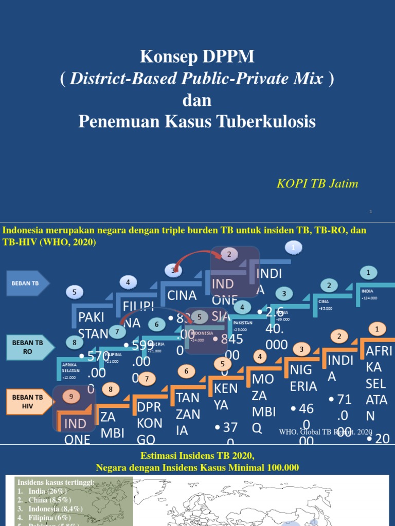 Strategi DPPM dalam Penanggulangan TB | PDF
