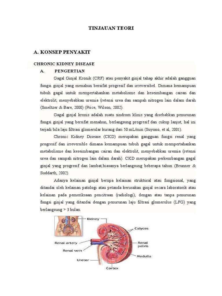 LP DM CKD Dini | PDF