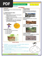 Sopa de Letras de Clases de Suelos | PDF