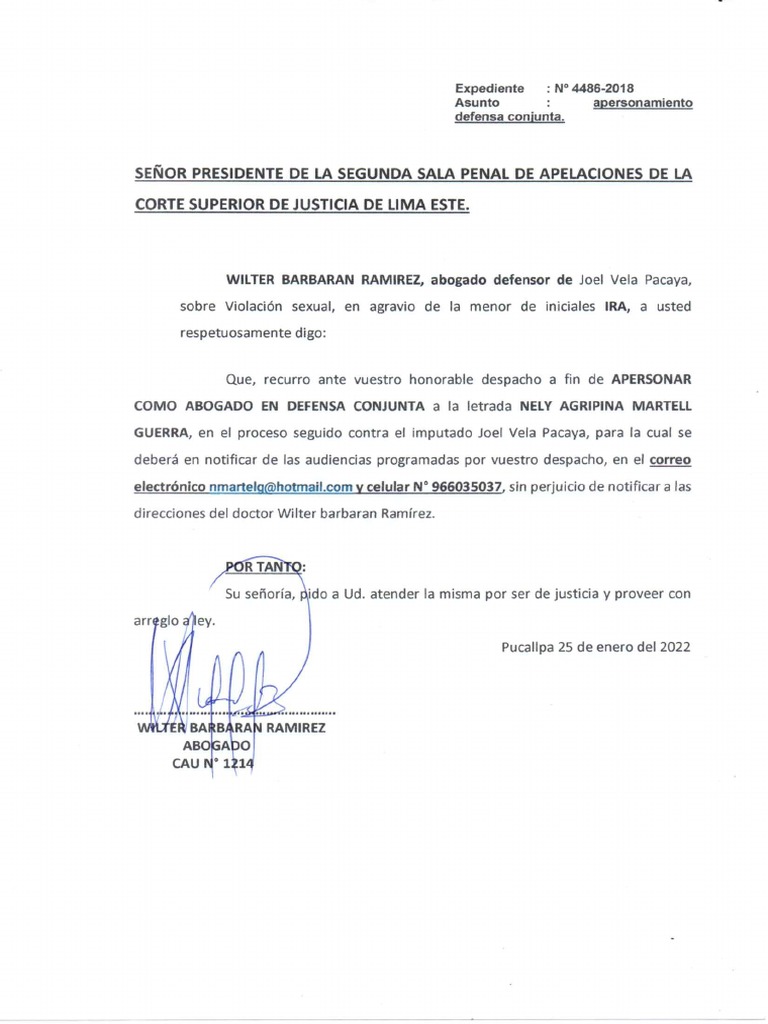 Apersonamiento Defensa Conjunta | PDF