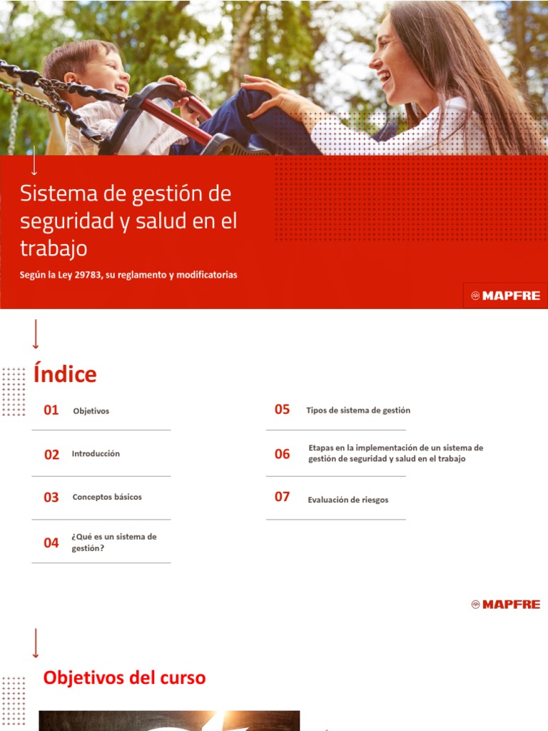 SGSST Según La Ley 29783 y Su Reglamento | PDF | Valores | Planificación