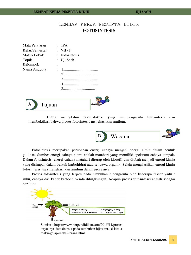 LKPD Uji Sach OK | PDF