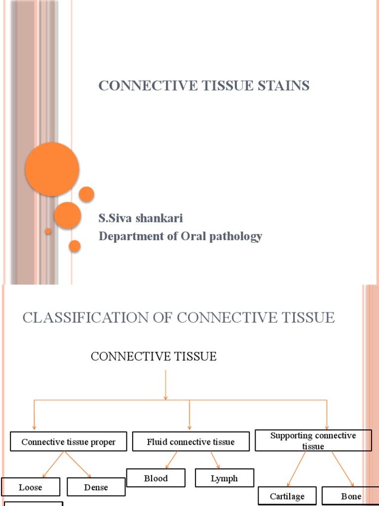 Connective Tissue Stains | PDF | Connective Tissue | Staining