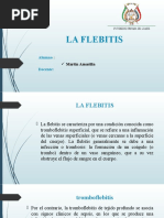 Escala de Flebitis | PDF