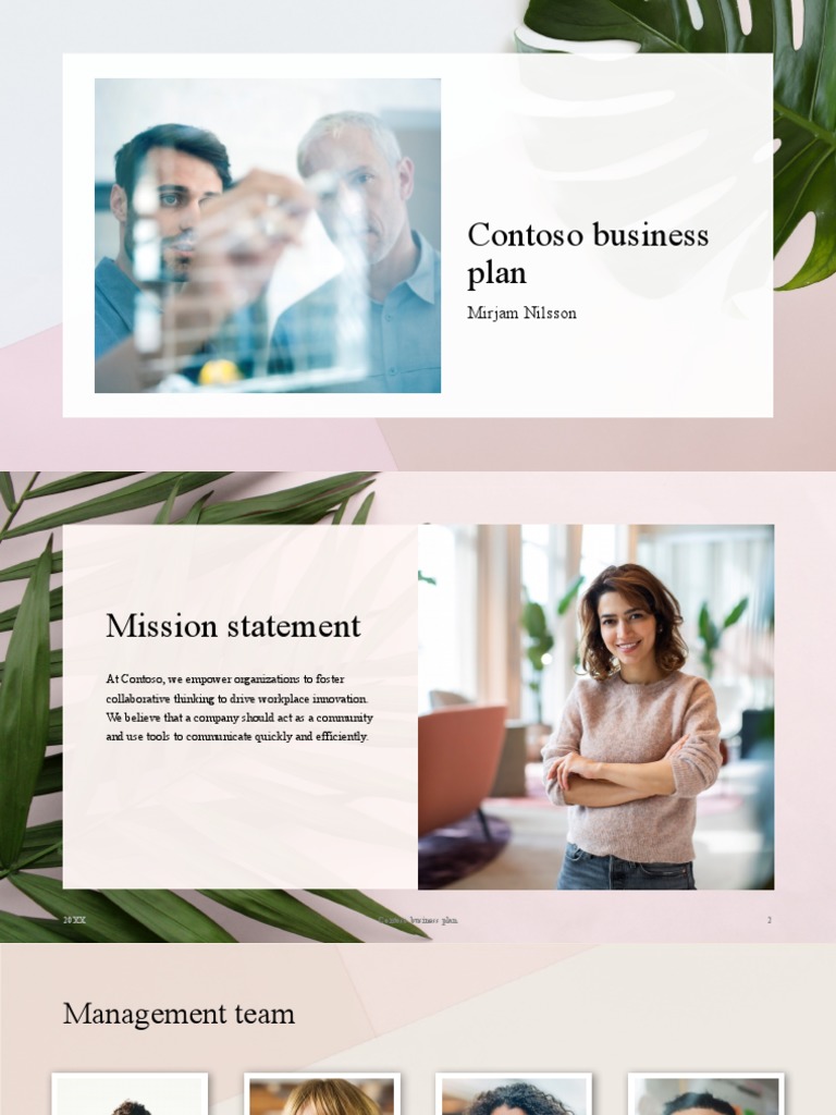 Contoso Business Plan: Mirjam Nilsson | PDF | Revenue | Market (Economics)