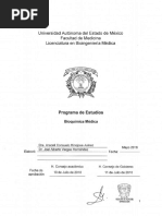 Tabla Laminas REXED | PDF | Neurona | Neurociencia