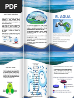 Triptico de "El Agua" | PDF | Precipitación | Agua