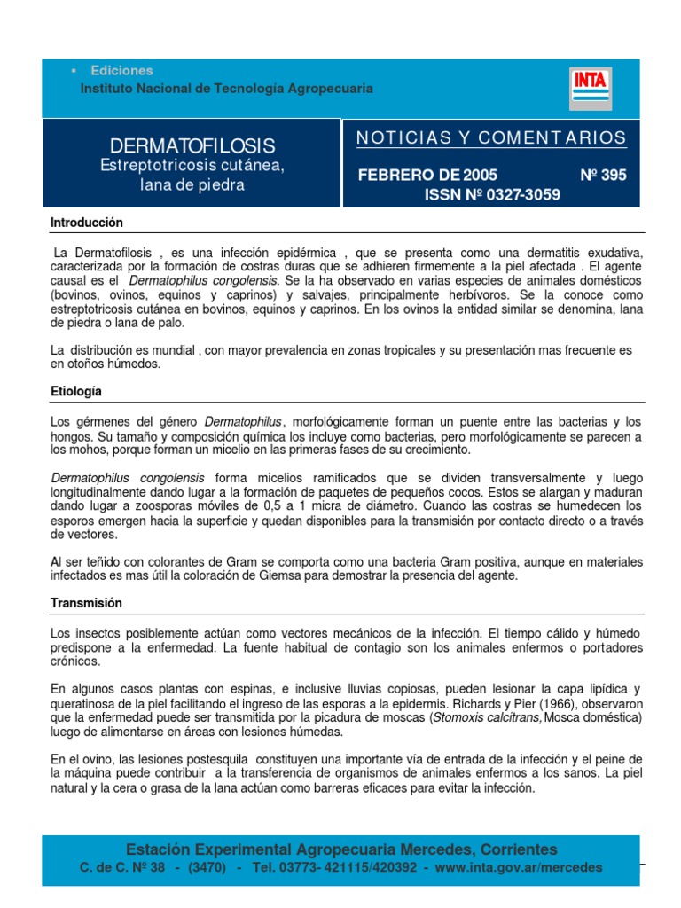 Dermatofilosis: una infección epidérmica causada por Dermatophilus ...