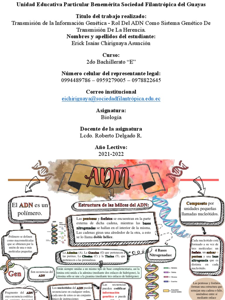 El ADN | PDF | Adn | Genética