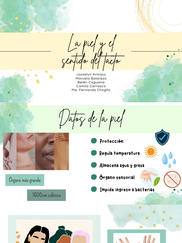 La Piel y El Sentido Del Tacto | PDF | Piel | Sistema nervioso