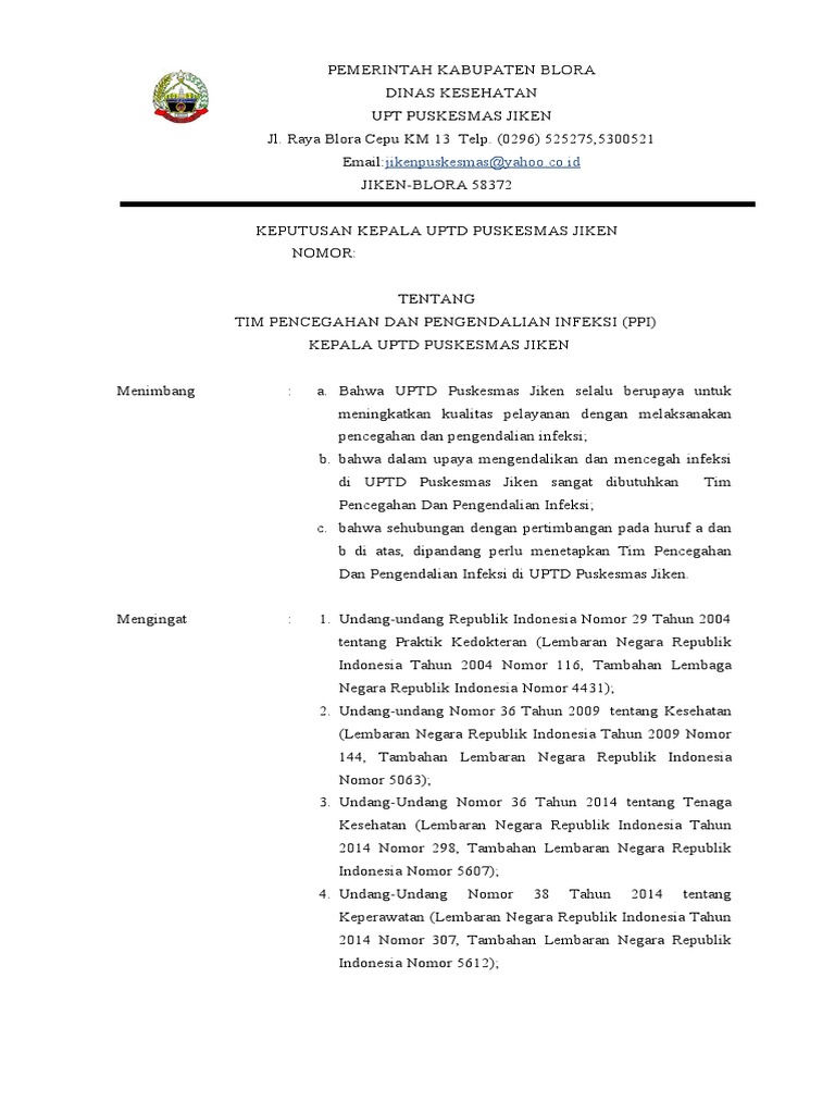 SK Program-Kerja-Tim-Ppi | PDF