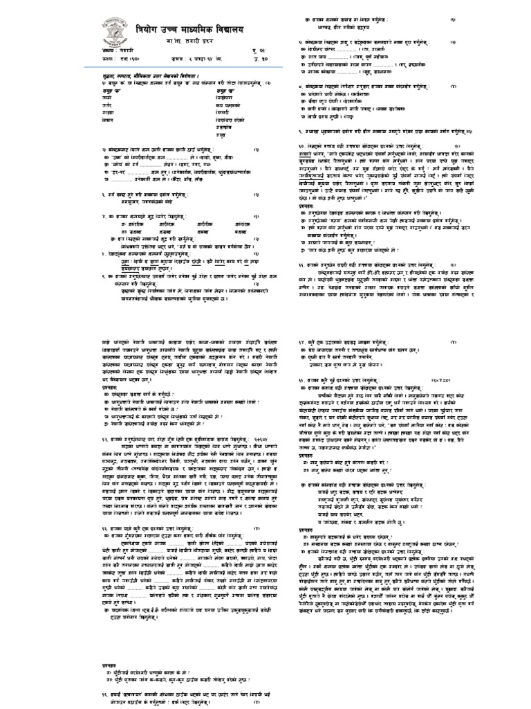Class 10 Nepali Set A | PDF